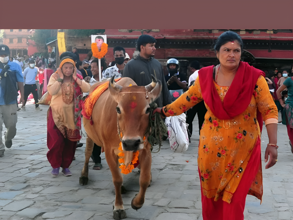 Gai Jatra Festival Celebrated with Humor and Tradition Across Nepal ...