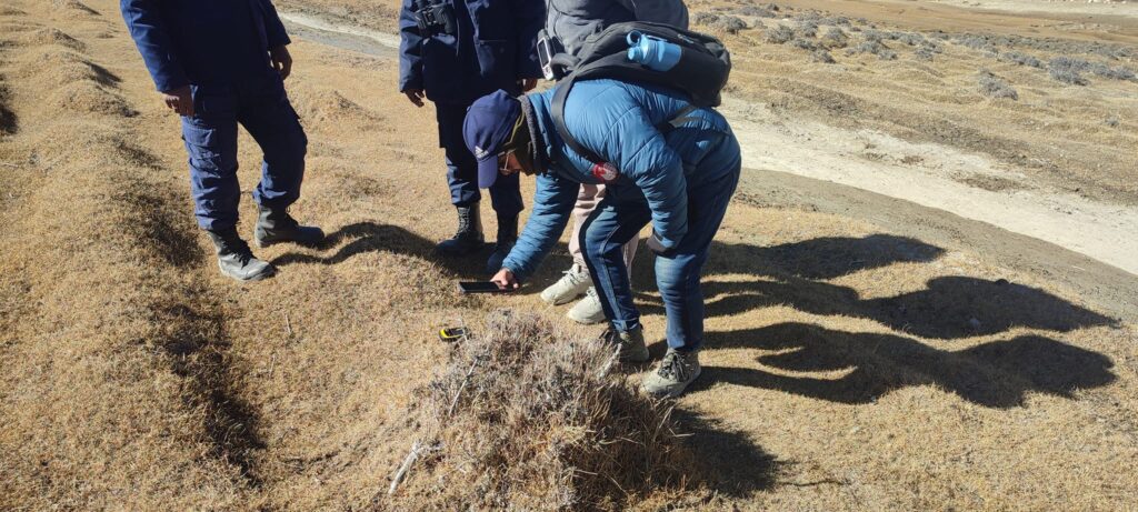 Wildlife Patrolling Intensified in NTNC ACAP Lomanthang Amid Seasonal ...